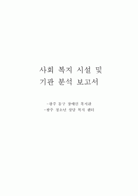 사회 복지 시설 및 기관 분석 보고서 - 광주 동구 장애인 복지관 청소년 상담 복지 센터-1페이지