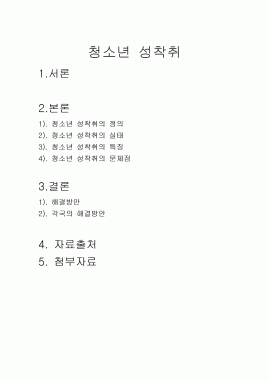 청소년 성착취 - 개념 실태 문제점 및 대책-1페이지