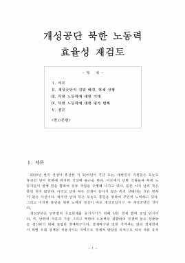 개성공단 북한 노동력 효율성 재검토-1페이지