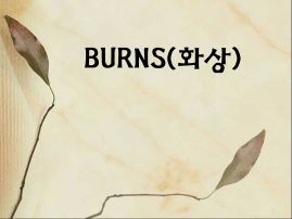 화상 (BURNS) - 화상의 발생빈도 원인 위험요인 진단 종류-1페이지