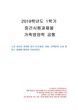 2019년 1학기 가축영양학 중간시험과제물 공통(소가 사료를 섭취할경우 소화 및 흡수과정)-1페이지