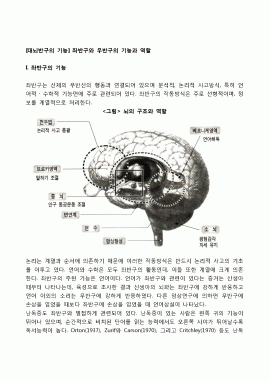 [대뇌반구의 기능] 좌반구와 우반구의 기능과 역할-1페이지