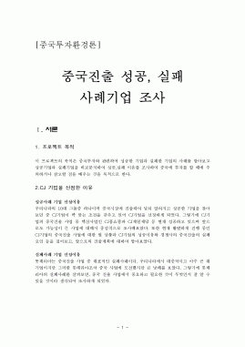 중국투자환경론 - 중국진출기업성공실패사례-1페이지