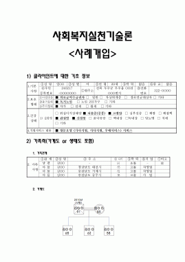 사회복지실천기술론 - 사례개입-1페이지