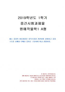 2019년 1학기 원예작물학1 중간시험과제물 A형(채소 종자의 형성과정)-1페이지