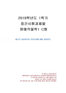 2019년 1학기 원예작물학1 중간시험과제물 C형(채소의 과실발육과 착과조절)-1페이지