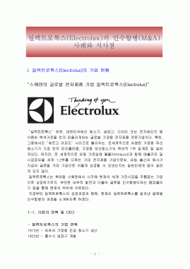 일렉트로룩스(Electrolux)의 인수합병(M&A)사례와 시사점-1페이지