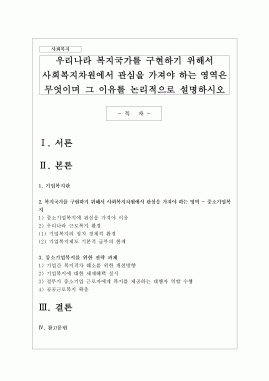 우리나라 복지국가를 구현하기 위해서 사회복지차원에서 관심을 가져야 하는 영역은 무엇이며 그 이유를 논리적으로 설명하시오-1페이지