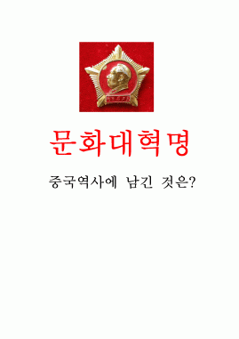 문화대혁명 - 중국역사에 남긴 것은-1페이지