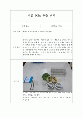 실습 보고서 - 식물 DNA 추출 실험-1페이지