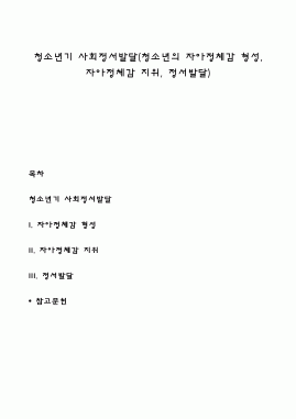 청소년기 사회정서발달(청소년의 자아정체감 형성 자아정체감 지위 정서발달)-1페이지