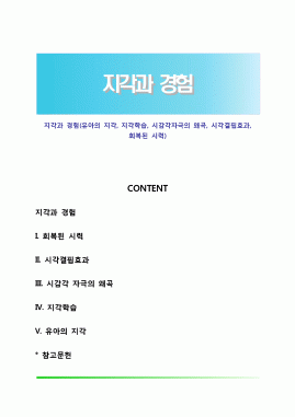 지각과 경험(유아의 지각 지각학습 시감각자극의 왜곡 시각결핍효과 회복된 시력)-1페이지