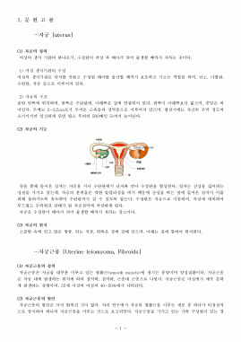 myoma 컨퍼런스  모성간호-1페이지