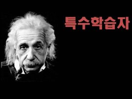 영재의 의미영재의 유형영재의 판별영재교육특수아동의 의미지적장애학습장애주의력 결핍-1페이지