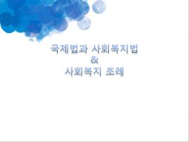 국제법과 사회복지법사회복지 조례국제법의 효력국제인권규약유엔아동권리협약국제노동기구 ILO조례의 기능-1페이지