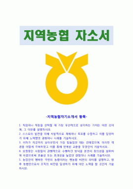 2019년 상반기 지역농협자기소개서] 지역농협자소서+면접질문 직업이나 직장을 선택할때 가장 우선적으로 생각하는 가치 지역농협자기소개서예문 지역농축협자기소개서 지역농협자기소개서예시문-1페이지