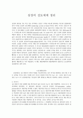 심장의 전도체계 정리-1페이지