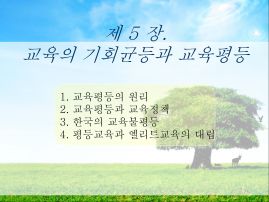 교육의기회균등과교육평등-1페이지