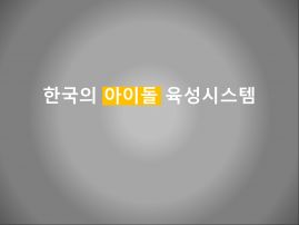 한국의 아이돌아이돌 육성시스템대형 기획사기획사 아이돌노예계약소비주의-1페이지