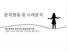 문제행동 및 사례분석발달장애 아동아동의 발달 상태아동의 문제 행동아동의 강점과 약점-1페이지