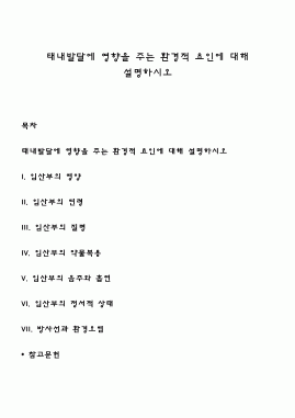 [영유아발달] 태내발달에 영향을 주는 환경적 요인에 대해 설명하시오-1페이지