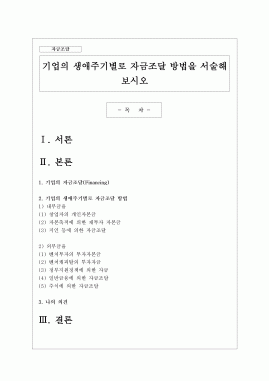 기업의 생애주기별로 자금조달 방법을 서술해 보시오-1페이지