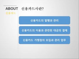 신용카드사란신용카드의 발행과 관리신용카드 가맹점한국의 신용카드의 역사신용카드사 분류-1페이지