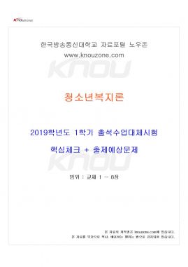 2019년 1학기 청소년복지론 출석수업대체시험 핵심체크-1페이지