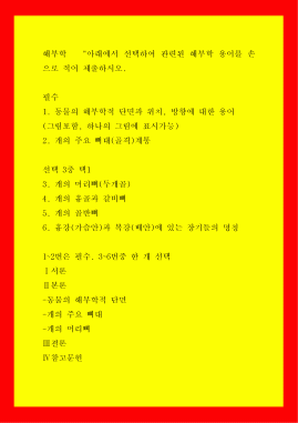 해부학 ) 동물의 해부학적 단면과 위치 방향에 대한 용어-1페이지