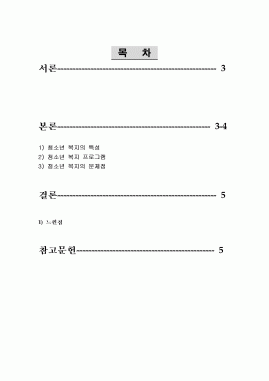 자신이 관심있는 사회복지분야 작성(청소년사회복지)-1페이지