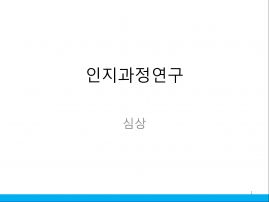 인지과정연구지각과 심상언어심상 대 시각심상-1페이지