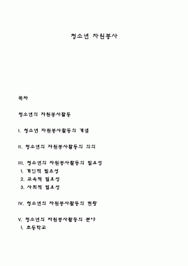 청소년 자원봉사 [인문과학] -1페이지