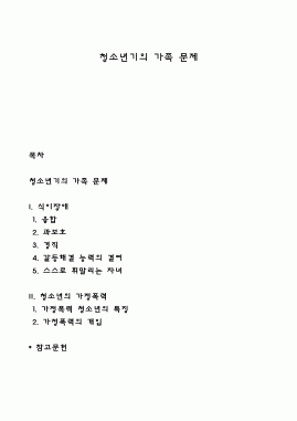 청소년기의 가족 문제-1페이지