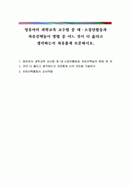 영유아의 과학교육 교수법 중 대·소집단활동과 자유선택놀이 방법 중 어느 것이 더 옳다고 생각하는지 자유롭게 토론하시오-1페이지