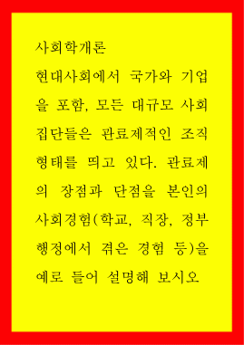 사회학개론 ) 관료제의 장점과 단점을 본인의 사회경험(학교 직장 정부 행정에서 겪은 경험 등)을 예로 들어 설명해 보시오-1페이지