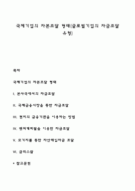 국제기업의 자본조달 형태(글로벌기업의 자금조달 유형)-1페이지