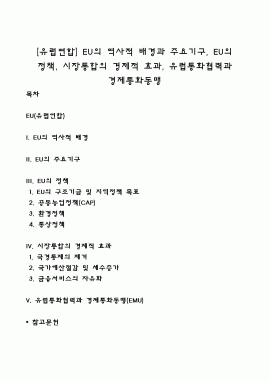 [유럽연합] EU의 역사적 배경과 주요기구 EU의 정책 시장통합의 경제적 효과 유럽통화협력과 경제통화동맹-1페이지