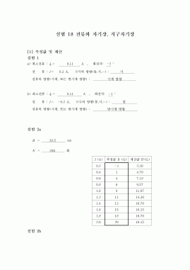 아주대학교 일반물리학 실험 결과보고서 실험18 전류와 자기장 지구자기장 2019년 1학기-1페이지