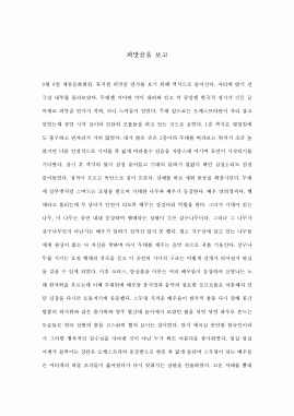 연극 감상문 - 피맛골을 보고-1페이지