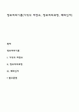 정보처리이론(기억의 저장소 정보처리과정 메타인지)-1페이지