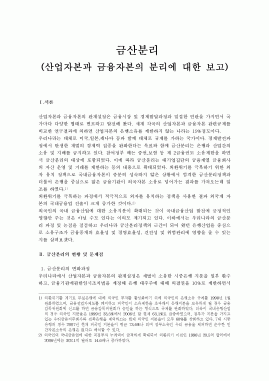 금융법 - 산업자본과 금융자본의 분리에 대한 보고 - 금산분리-1페이지