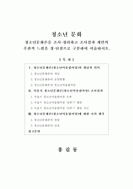 [청소년 문화] 청소년문화존을 조사·정리하고 조사결과 개인의 주관적 느낌을 장·단점으로 구분하여 서술하시오-1페이지