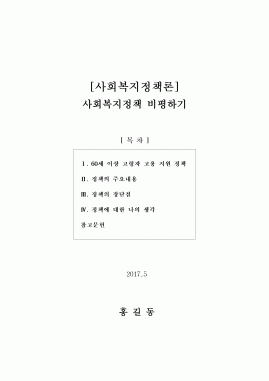 [사회복지정책론] 사회복지정책 비평하기(60세 이상 고령자 고용 지원)-1페이지