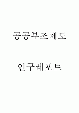 공공부조 개념목적특징분석과 공공부조 장단점과 한계점연구및 개선방안제시 - 공공부조 연구레포트-1페이지