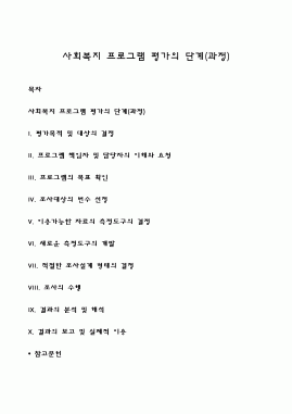 사회복지 프로그램 평가의 단계(과정)-1페이지