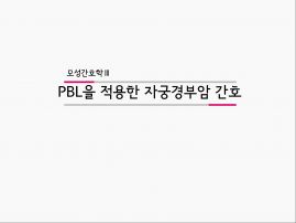 PBL자궁경부암간호-1페이지