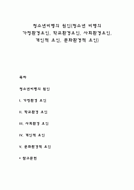 청소년비행의 원인(청소년 비행의 가정환경요인 학교환경요인 사회환경요인 개인적 요인 문화환경적 요인)-1페이지