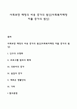 사회보장 재정의 비용 증가의 원인(사회복지재정 지출 증가의 원인)-1페이지