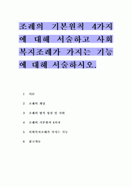 조례의 기본원칙 4가지에 대해 서술하고 사회복지조례가 가지는 기능에 대해 서술하시오-1페이지