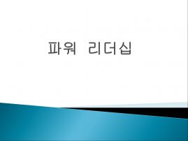 파워리더십,파워리더십의 정의,파워리더십의 특징,SWOT 분석,파워 리더십의 사례,파워리더십의 실천과제-1페이지